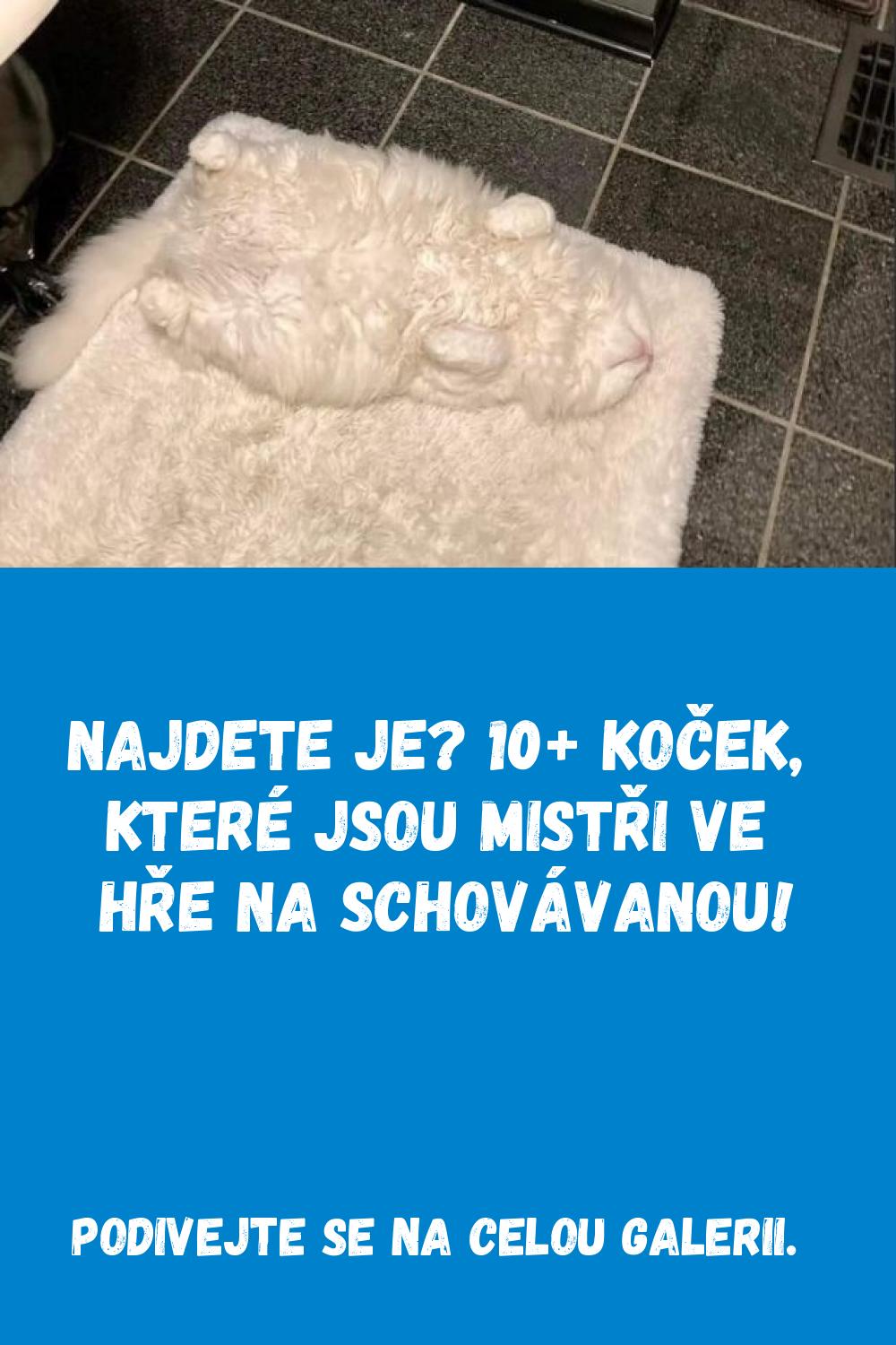 pinterest_thumbnail • TYČÍČO.cz